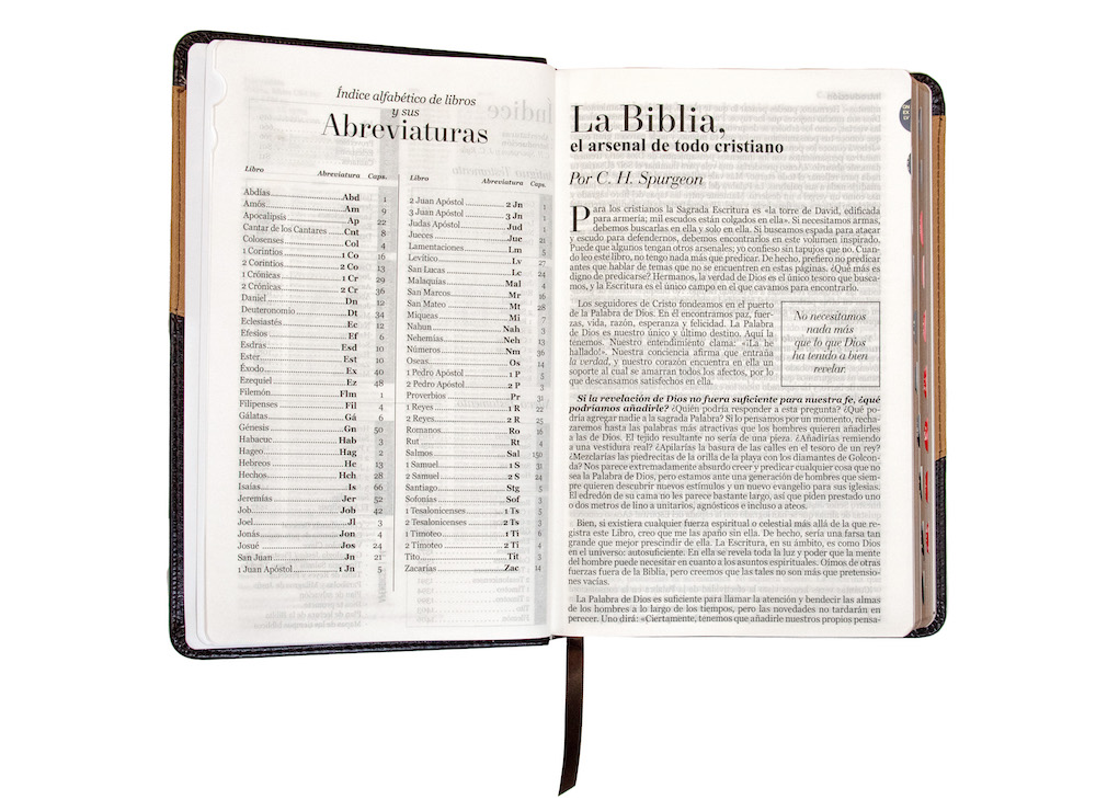 Biblia Reina VAlera 1960 Tamaño manual letra grande 12 puntos i/piel bitono con índice café/café ...