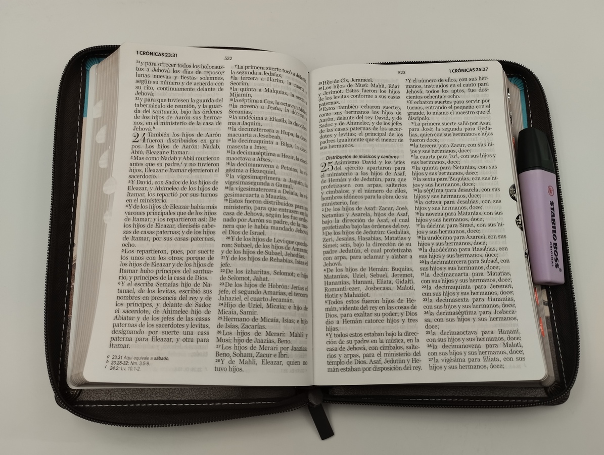 Biblia RVR60 Tamaño Manual letra grande i/piel con cierre/índice ...