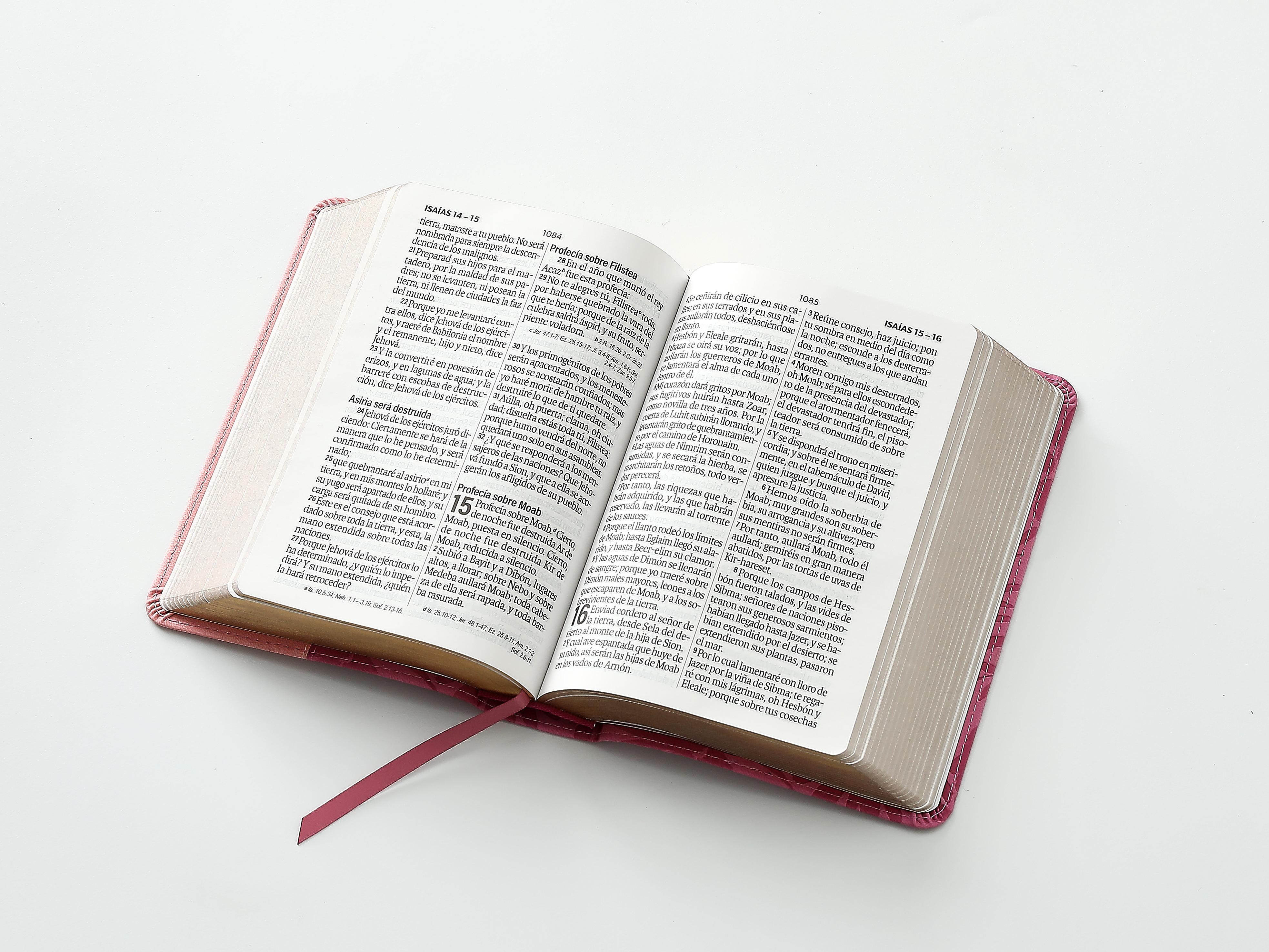 Biblia RVR60 tamaño compacto Letra GRande i/piel bicolor rosa/rosa ...