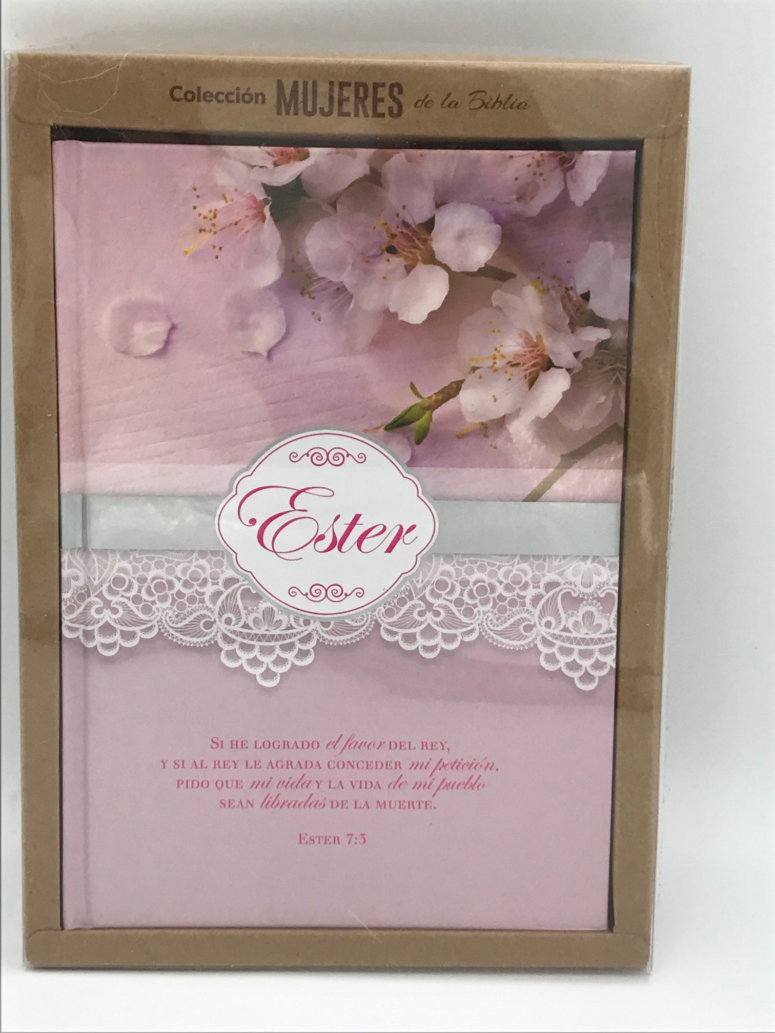 Libreta Ester: Colección mujeres de la Biblia - Luciano's Gifts ...